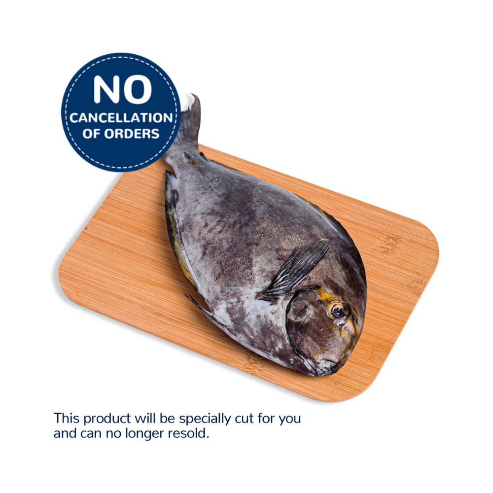 Indangan Fish (Palig)